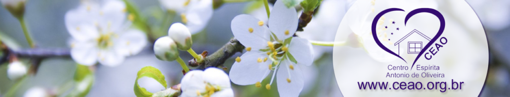 CEAO Centro Espírita Antonio de Oliveira – www.ceao.org.br